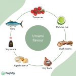 What Is Umami? Unraveling The Secrets Of The Fifth Taste 2023